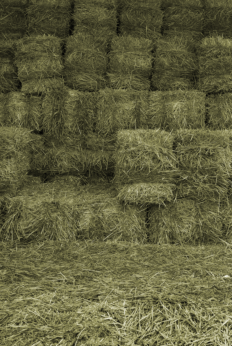 Our Hay | 5280 Hay